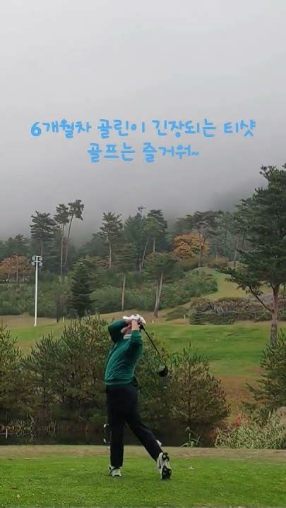 골린이의 티샷 Golf 골프 골프레슨 골프스윙 골프독학 Golfswing 골프연습 골린이 골프연습동영상