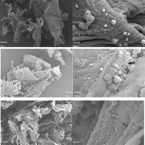 Xrd Patterns Of Biochars Pyrolyzed At Different Temperature Download