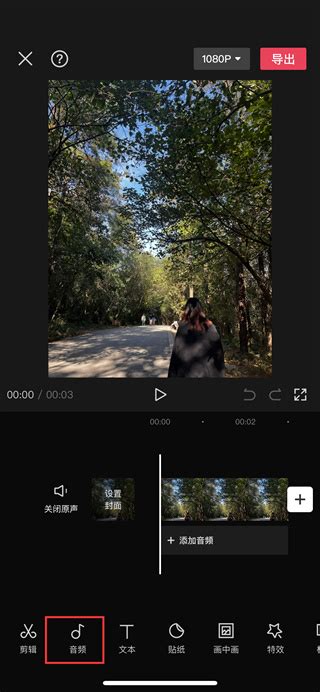 剪映app踩点功能在哪里 剪映app踩点功能位置介绍 Qt软件园