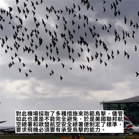 歷史梗圖 雞槍 個人看板板 Dcard