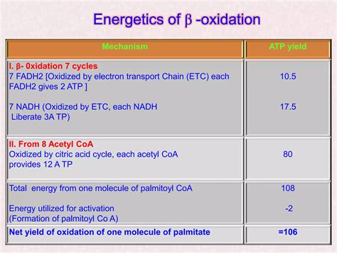 Beta Oxidation210621pptx