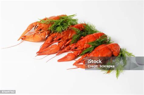 해물 요리 붉은 가재 삶은 맥주에 대 한 간식의 종류입니다 갈고리 발톱에 대한 스톡 사진 및 기타 이미지 갈고리 발톱 갑각류 강 Istock