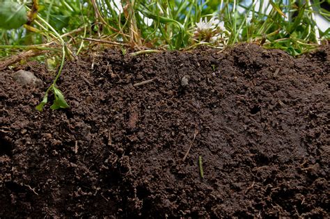 Here S The Deal Dirt Is Amazing Atlas Obscura