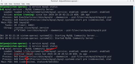 Resolve Opt Lampp Bin Mysql Server Kill No Such Process TEGALSEC