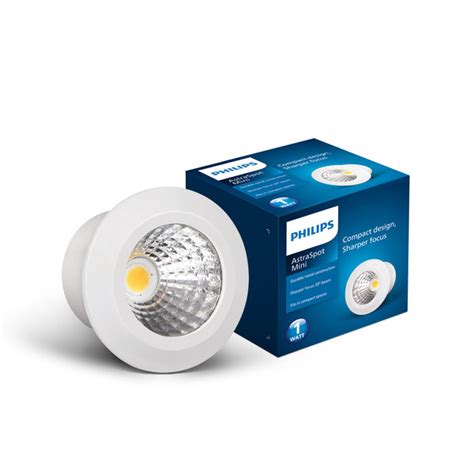 Buy Philips Astra Mini Led Cob Light Philips Lighting Philips