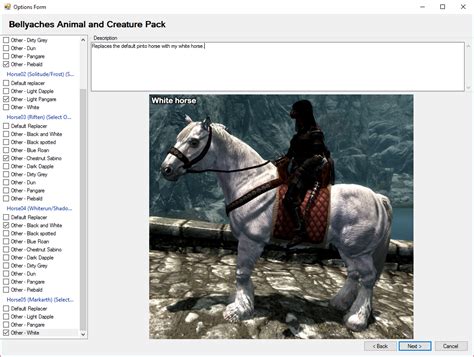 Skyrim Beautification Project Installation Settings