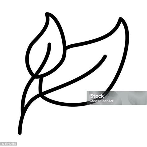 생태 컬렉션에서 두 개의 잎 아이콘 흰색 배경에 격리 된 얇은 선형 두 잎 잎 자연 윤곽 아이콘 라인 벡터 두 잎 기호 웹 및 모바일 기호 0명에 대한 스톡 벡터 아트 및