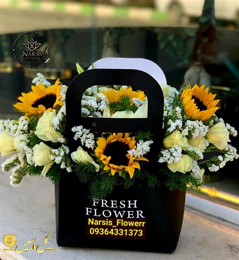 گلفر‌وشی نارسیس شغلتون