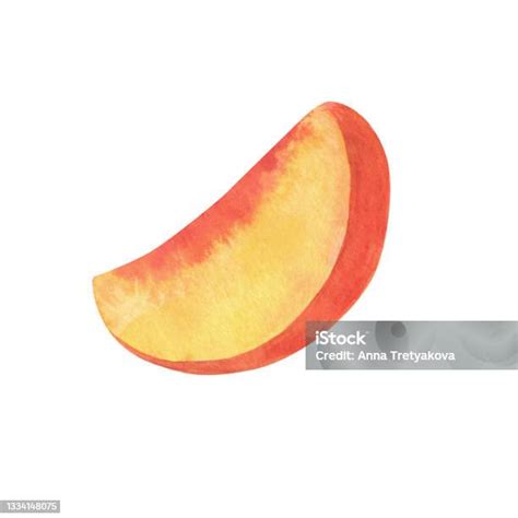 귀여운 복숭아 과일 슬라이스 수채화 클립 아트 신선한 여름 과일 돌없이 복숭아 과일의 그림 흰색 배경에 격리 건강한 식생활에 대한 스톡 벡터 아트 및 기타 이미지 Istock
