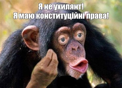 Мем Я не ухилянт Я маю конституційні права Все шаблоны Meme