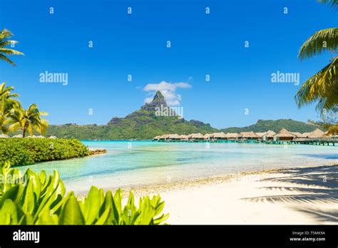 View On Mount Otemanu Through Turquoise Lagoon And Overwater Bungalows