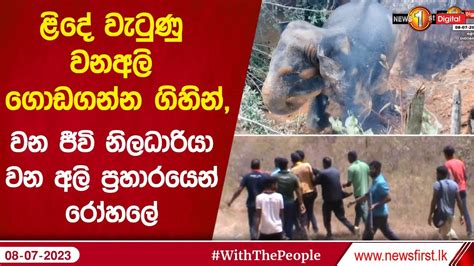 ළිදේ වැටුණු වනඅලි ගොඩගන්න ගිහින් වන ජීවි නිලධාරියා වන අලි ප්‍රහාරයෙන් රෝහලේ Youtube