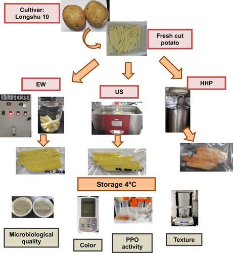 International Journal Of Food Science Technology X Mol