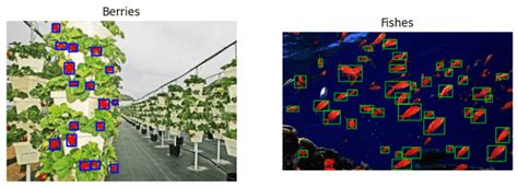 Roadmap To An Automated Image Annotation Tool Using Opencv