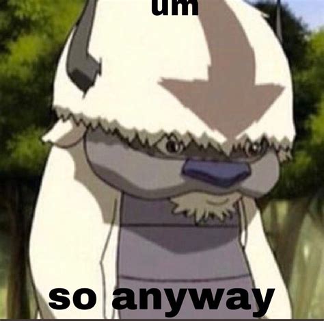 Appa Reaction Meme Avatar The Last Airbender Funny Avatar Funny Avatar
