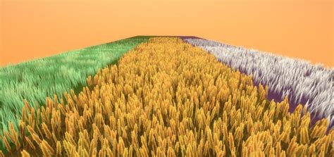 Gt Grass
