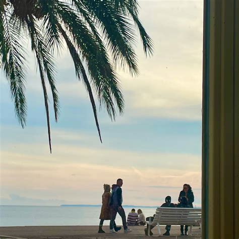 Babel Babel Nice Restaurant Reviews Photos And Phone Number Tripadvisor