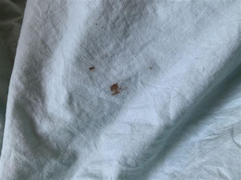 I Feel Like Its Never Gonna Stop Rbedbugs