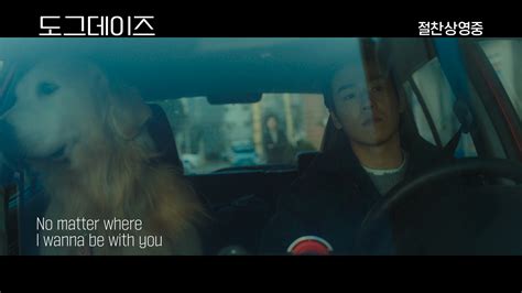 ‘도그데이즈 발렌타인데이 기념 ‘하늘 별 스페셜 Mv 공개
