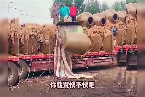 老司机卸车结局就是不一样 结局