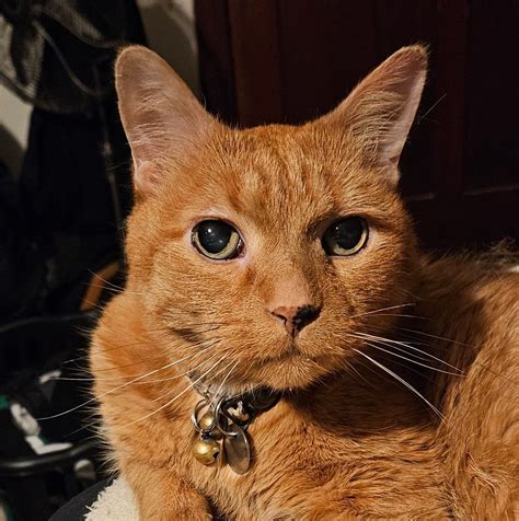 Lightburn We Know Its Been A While Since Our Last Major Release And We Want To Take A Moment