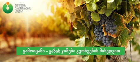 ტურიზმის განვითარების ცენტრი Home