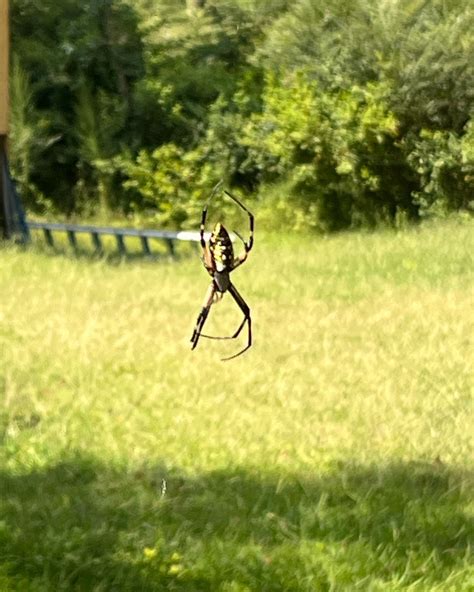 Ocie ★ Ocie A Bum • Instagram Photos And Videos