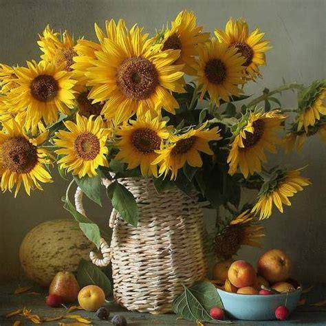 Марина Филатова - Лучшие фотографии | Изображение подсолнуха ...