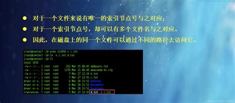Linxu基础学习四 文件系统组linxu Ln S命令 Csdn博客