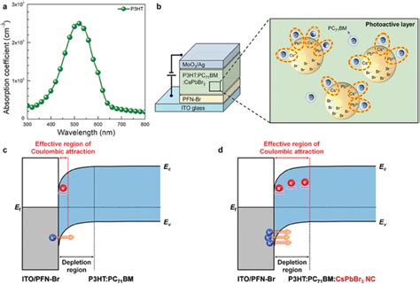 A Absorption Spectrum Of P3ht B Device Structure Of The Pm‐opd Based