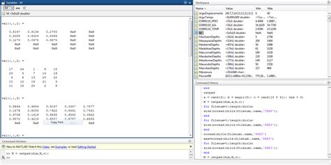 Matlab How Do I Easily View The Contents Of Each Entry Of A Xyz Array In The Workspace