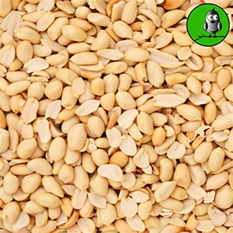 Erdnüsse Kg besten Produkte im Vergleich HundeINFOPortal
