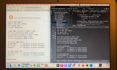 Assist You In Python Tasks And Projects By Cyberitgirl Fiverr