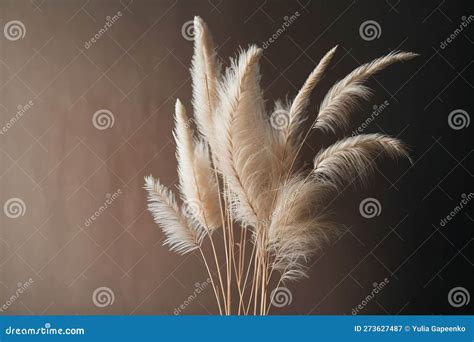 Banner The Pampas Grass Reed Plume Stem Dried Pampas Illustration Ai