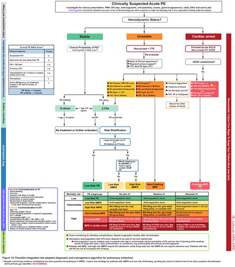 Pulmonary Embolism Treatment Algorithm
