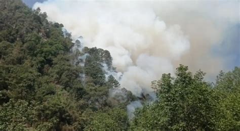 En 2 Semanas Estado De Veracruz Reporta 19 Incendios Forestales Xeu