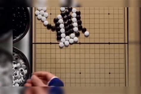 盘点ikun的那些搞笑瞬间你们这群人食不食油饼啊哈哈