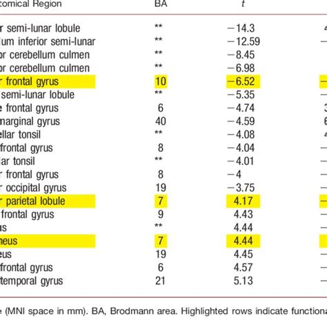 Seed Based Functional Connectivity Group Differences Parametric Maps