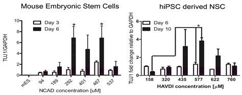 Gradient Material Strategies For Hydrogel Optimization In Tissue Engineering Applications