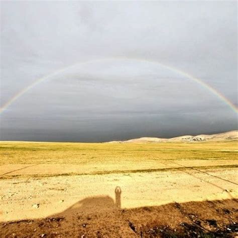 Yishai Fleisher Show Leap Towards Redemption The Land Of Israel