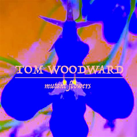 Hes A Dickhead Song And Lyrics By Tom Woodward Spotify