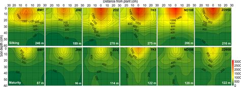 Two Dimensional Distribution Of Root Length Density Rld Cm3000 Cm3