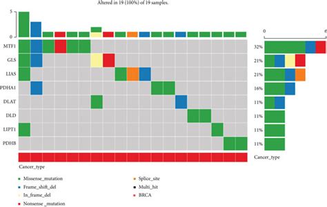 The Expression And Mutation Landscape Of Cuproptosis Related Genes In