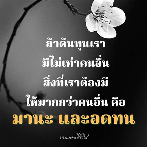 การ์ด No 6904 พระนพดล สิริวํโส