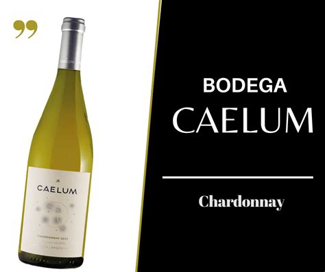 Bodega Caelum Vino Blanco Infinity Brands Peru