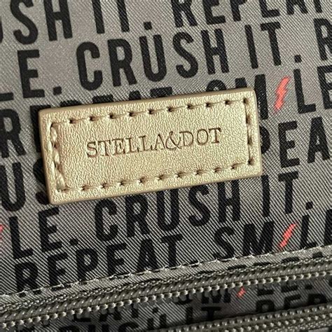 Stella And Dot Crush It Bag Gem