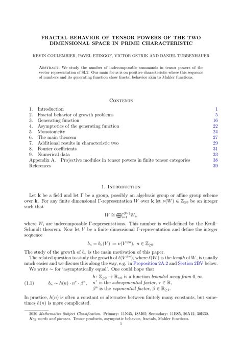 pdf fractal behavior of tensor powers of the two dimensional space in