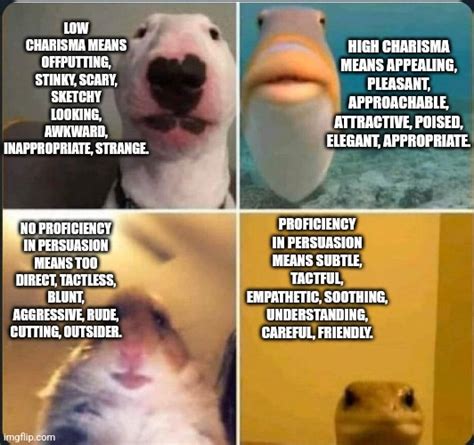 Ability Score Meet Skill R Dndmemes