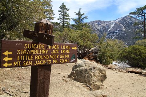 Hiking Suicide Rock In Idyllwild California Through My Lens