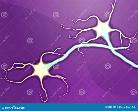 Cellules Nerveuses De Neurone Illustration Stock Illustration Du
